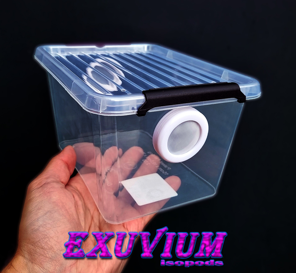 Equipment – Exuvium