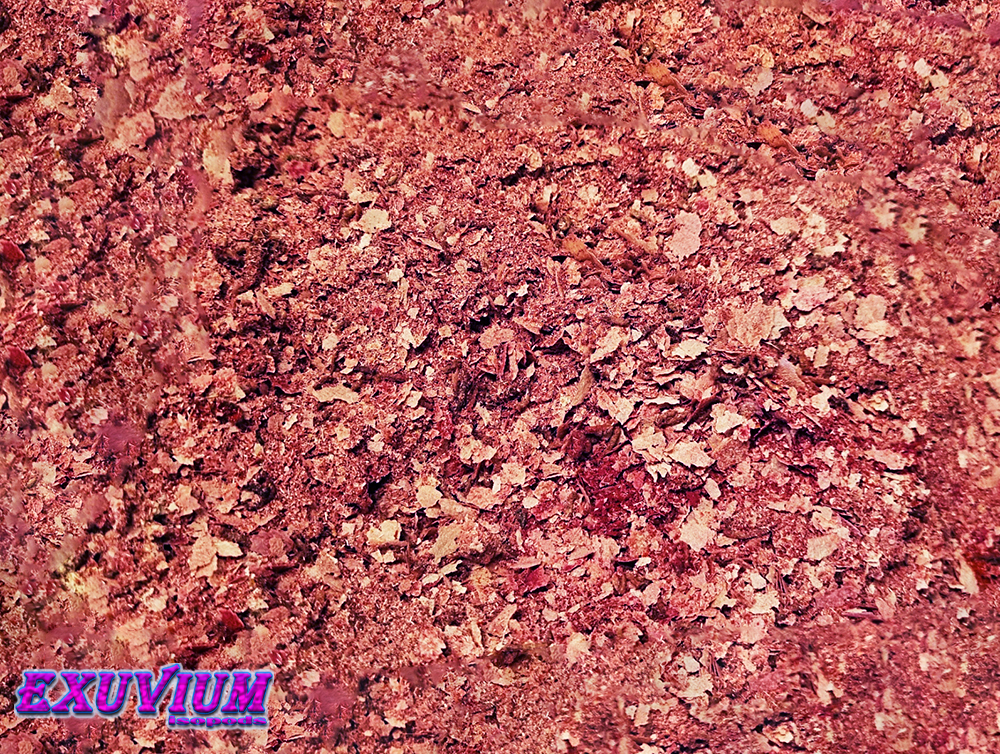 Super Boost 2: Elm bark, Hibiscus, Paprika mix for isopods and other ...