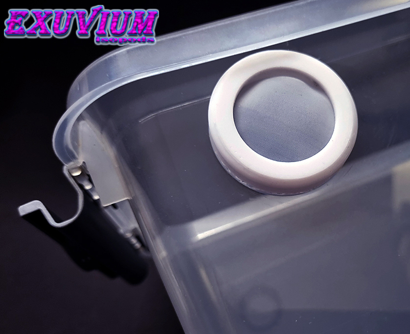 Ultra Fine Mesh Vents | For Isopods, Millipedes & other inverts ...