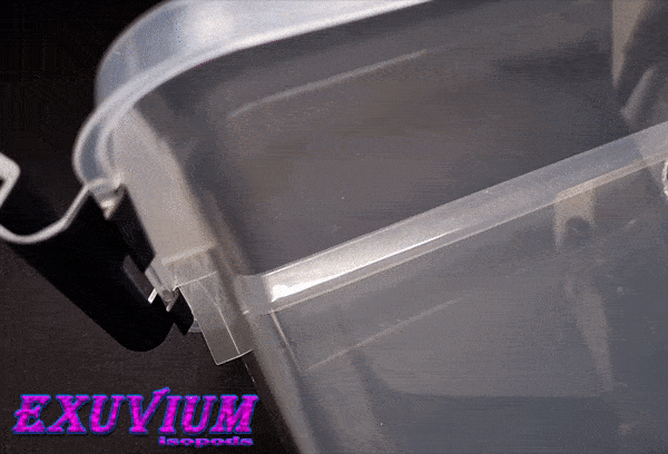 Ultra Fine Mesh Vents | For Isopods, Millipedes & other inverts ...