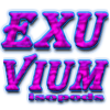 Exuvium Isopods – Isopods, arthropods, food, equipment