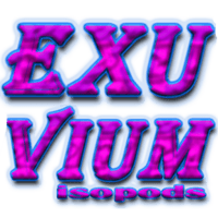 Blog – Exuvium Isopods