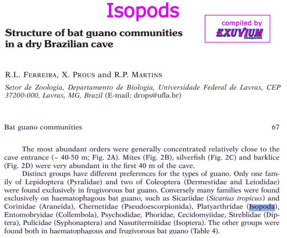 Bat Guano for Invertebrates / Arthropods – Exuvium Isopods