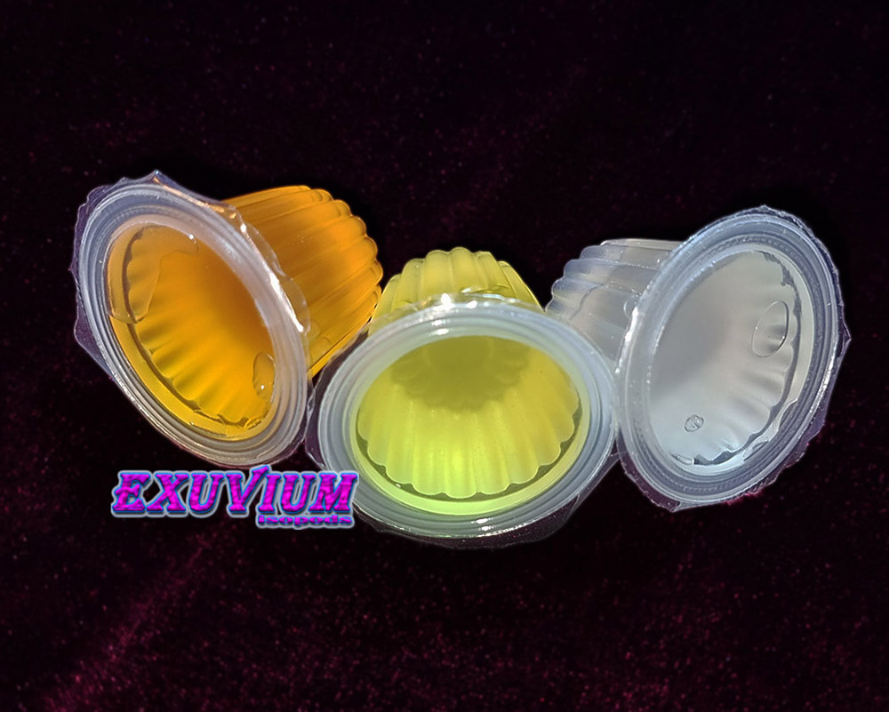 Insect jelly beetle jelly fruit jelly cups: mix of various flavors ...