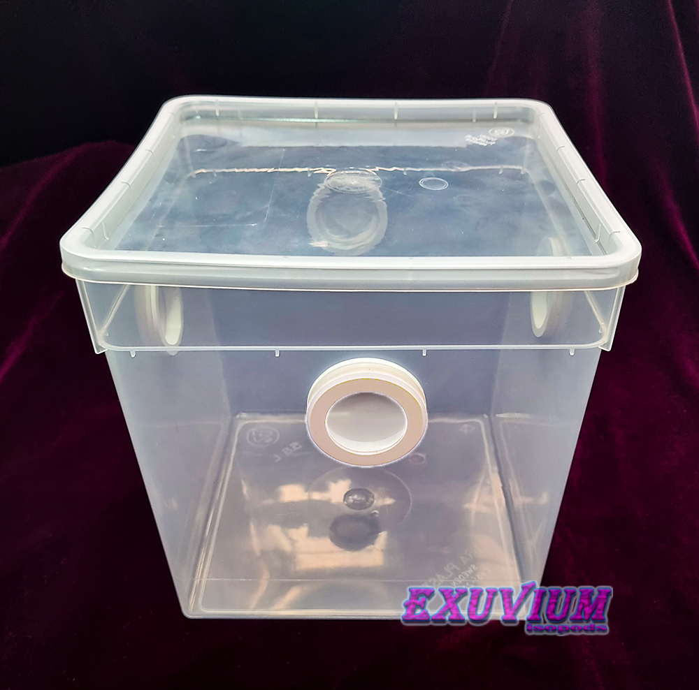 Escape-Proof Invertebrate Enclosure (M2, 6.8L) – Vented Breeding Box ...