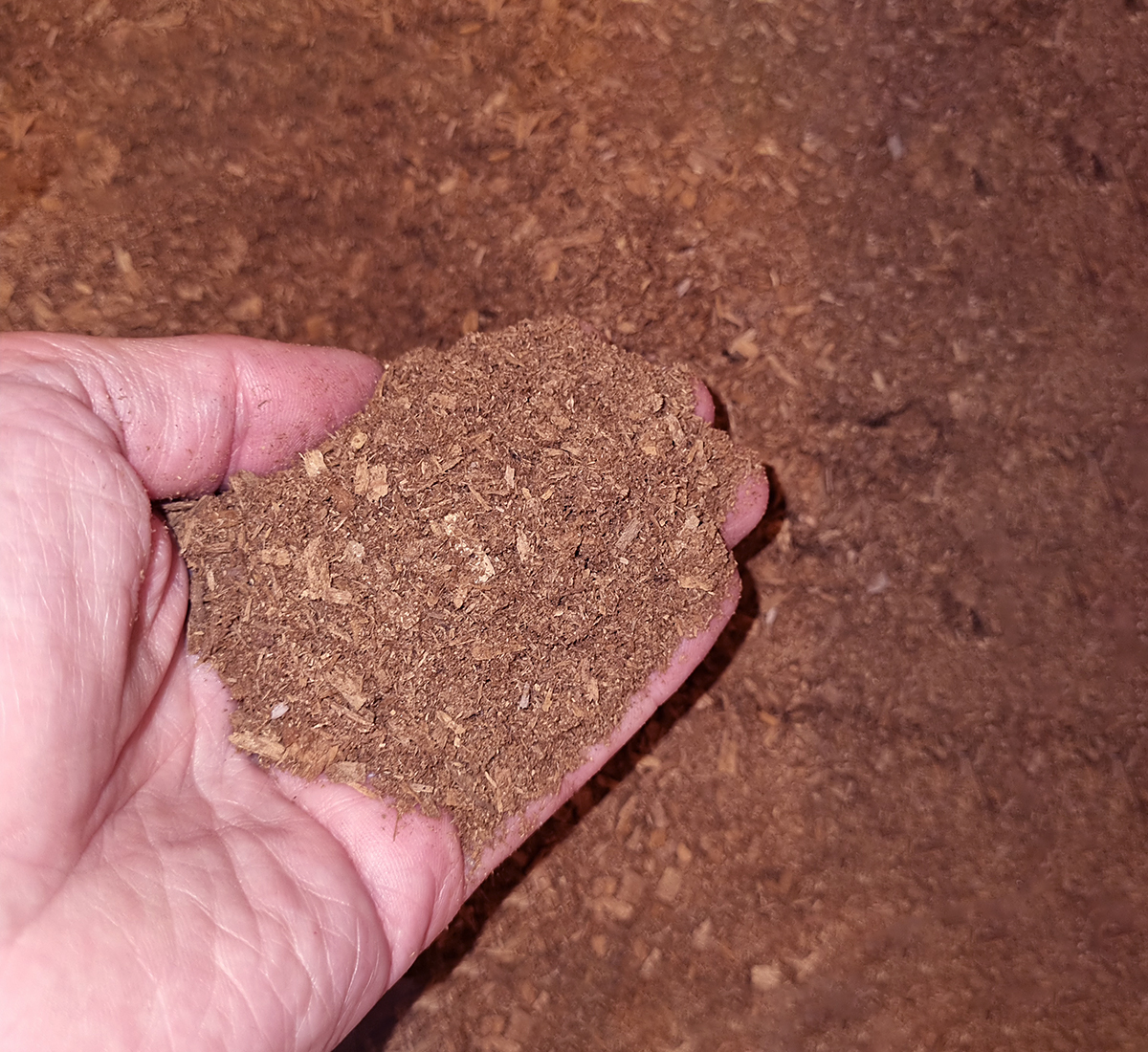 Flake soil – Exuvium Isopods